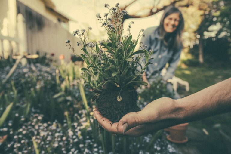 About - 🌱 Seed Tracker App – Organize & Manage Your Seeds Easily